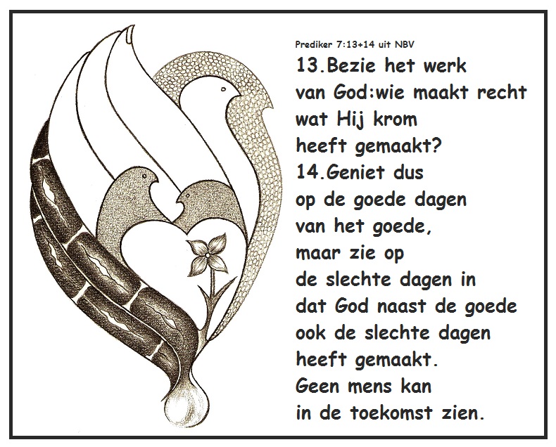 793 Prediker 7:13+14 – Mensbootje